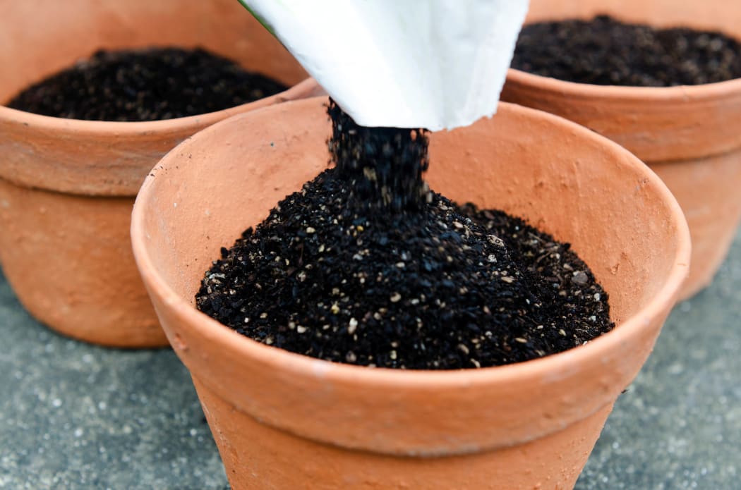 Potting mix labels failing to curb Legionnaires' disease - study | RNZ News