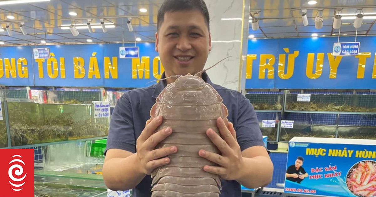Giant 'Darth Vader' sea bug discovered off the coast of Vietnam | RNZ News