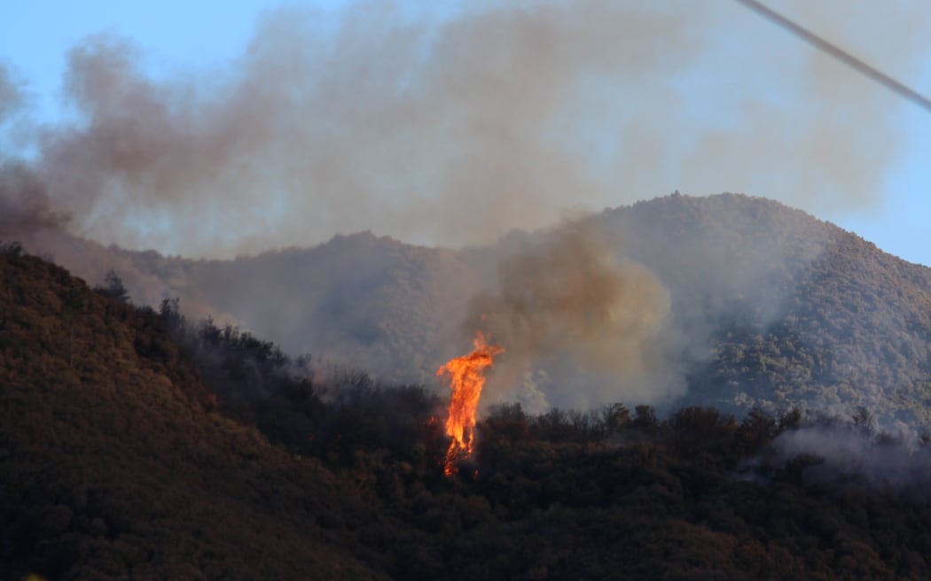 Wildfire season could kick off earlier this year, Fire and Emergency ...