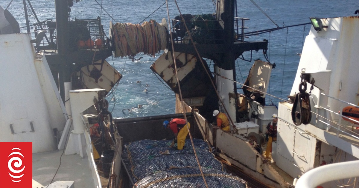 Sealord to buy $70m deep-sea fishing vessel | RNZ News