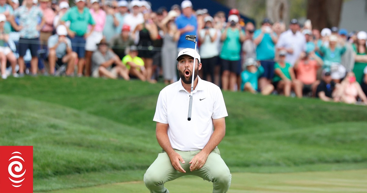 Golf: World No 1 Scottie Scheffler caps dominant year with FedEx Cup ...