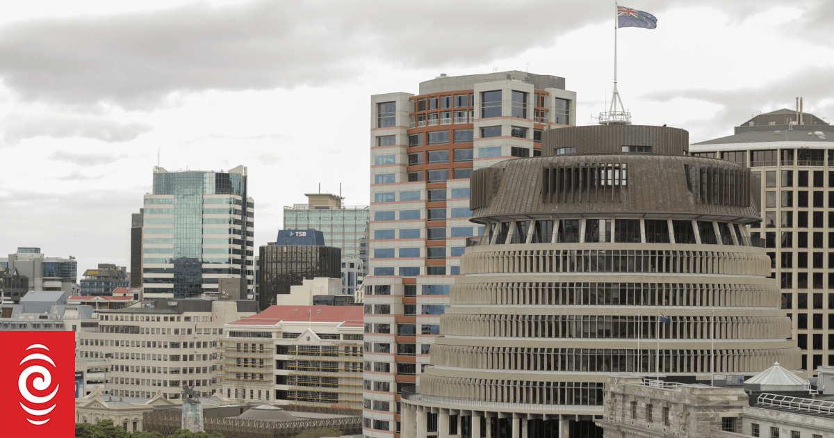 Political commentators Neale Jones and Brigitte Morten | RNZ