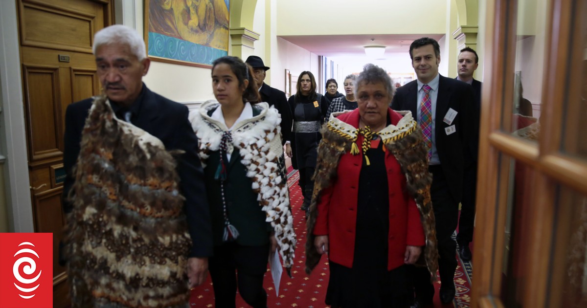 Iwi-Crown relations on the line after scathing audit | RNZ News