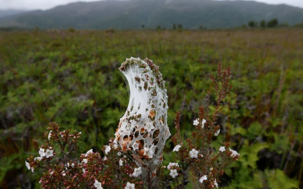 Nine To Noon for Monday 29 April 2024 Nine To Noon | RNZ