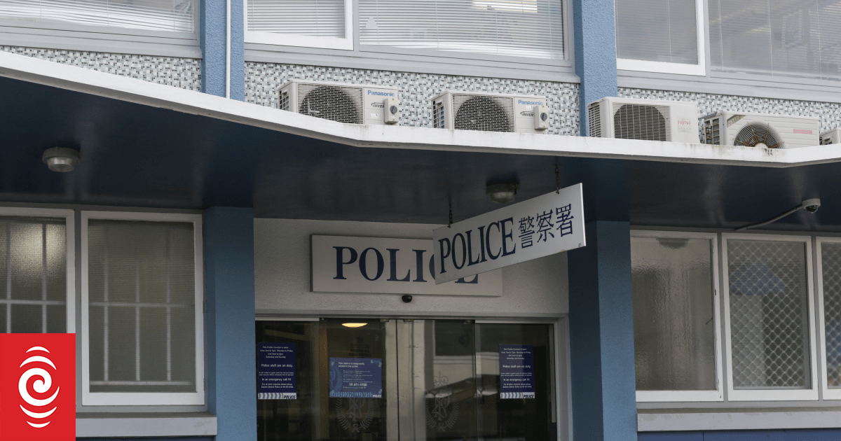Police investigate allegations of officer assaulting a teen in Napier ...