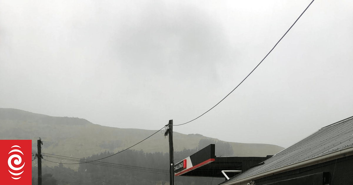 Opening Lake Forsyth to ocean could have mitigated flooding, Little ...