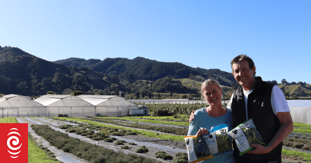 Fresh herbs producer thrives as New Zealanders get more 'creative' with ...