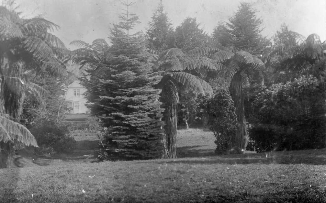 Avalon in Lower Hutt was once part of the famous five-hectare Mason's ...