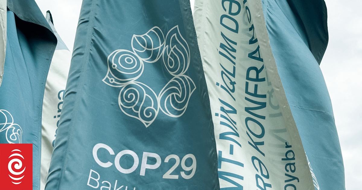 COP 29: Carbon credit trading scheme criticised as 'get out of jail ...