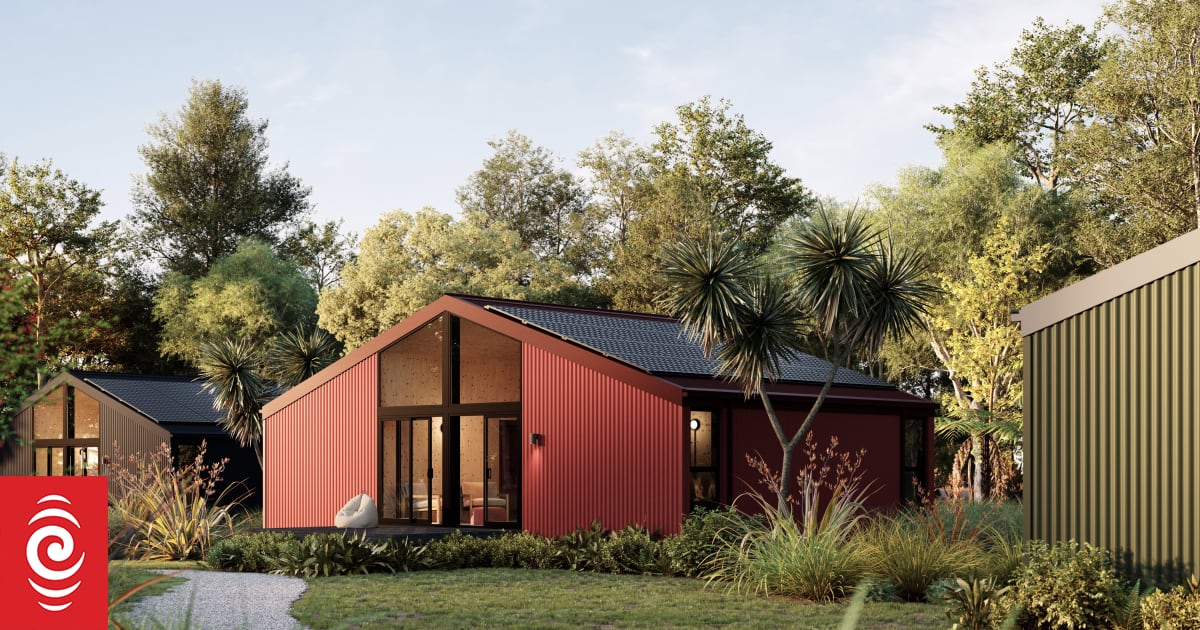 Kiwi firm designs low-cost, fast-build house | RNZ