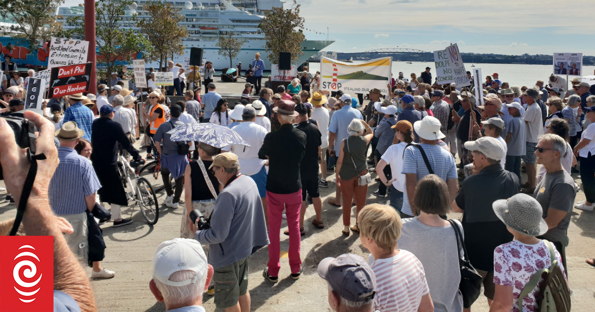 Hundreds protest Auckland wharf extension | RNZ