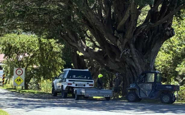 Pilot, passenger dead after helicopter crash in Paekākāriki Hill | RNZ