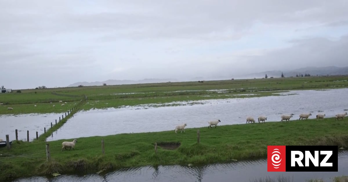 Gisborne, Wairoa farmers face 'challenging times' after weather damage ...