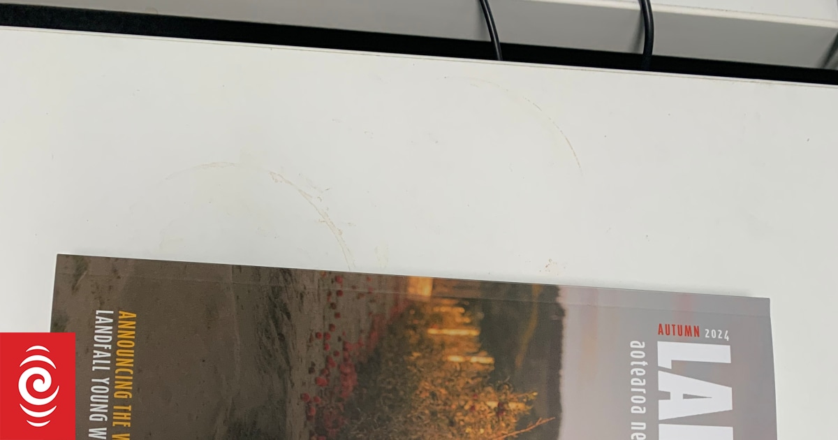 Book review: Landfall 247: Autumn 2023 Edited by Lynley Edmeades | RNZ