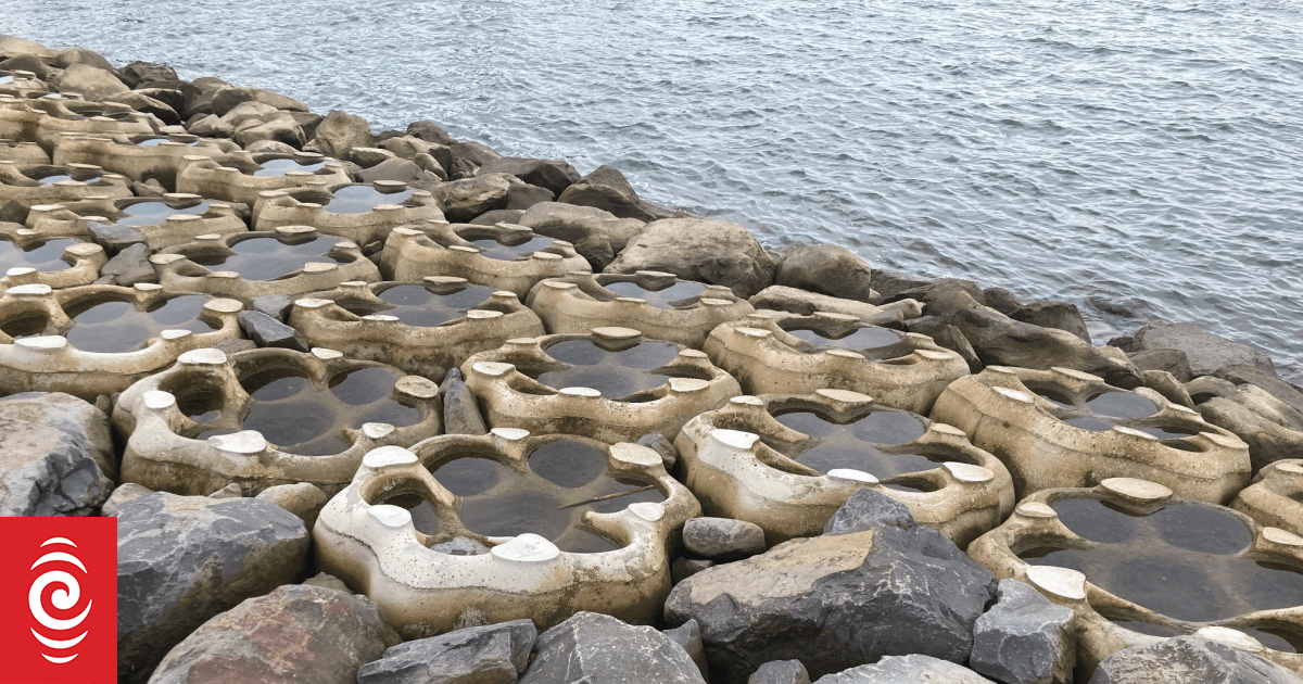 Our Changing World: Sea pods | RNZ