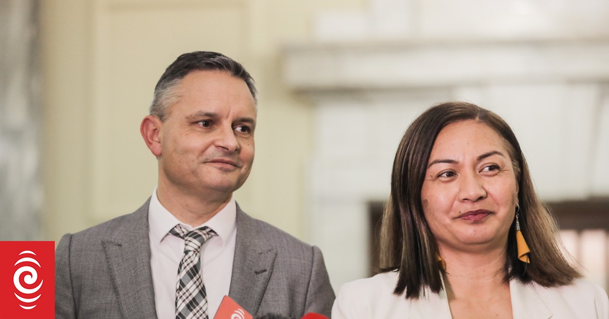 Green Party unveils its list for October's general election | RNZ News