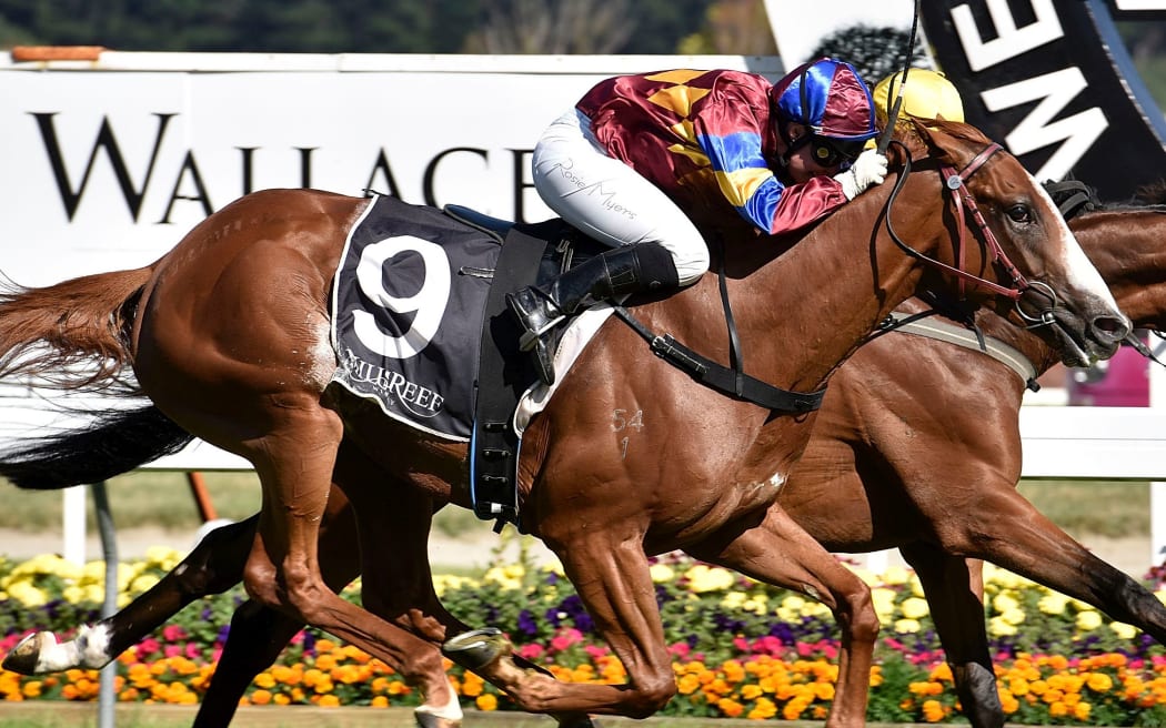 NZ jockey bookies' favourite on Cup day | RNZ News