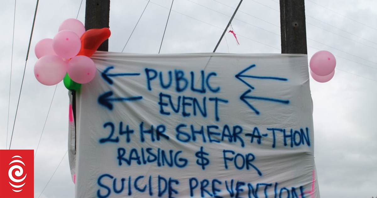 Shearing for Michael | RNZ
