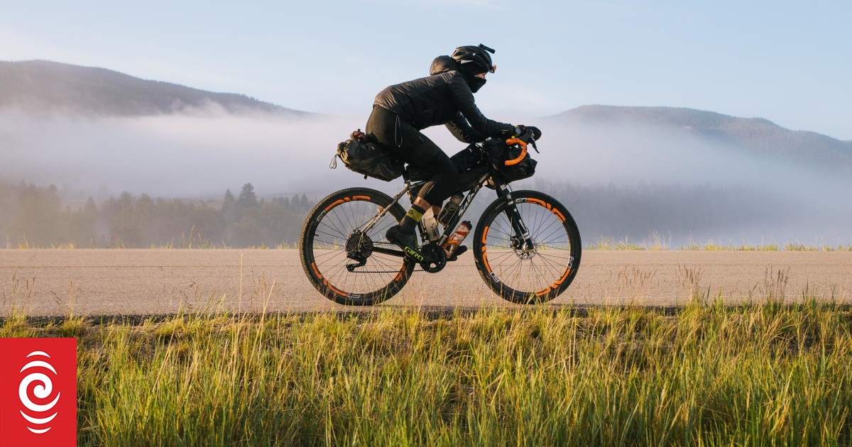 Steve Halligan: no spoke in his wheel | RNZ