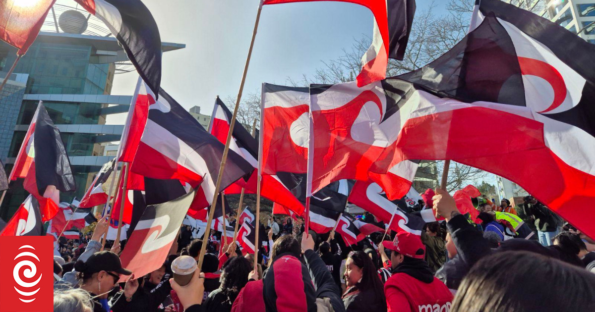 Treaty Principles Bill: 'Paruwaru' politics doesn't stop hīkoi for ... Treaty Principles Bill: 'Paruwaru' politics doesn't stop hīkoi for ...