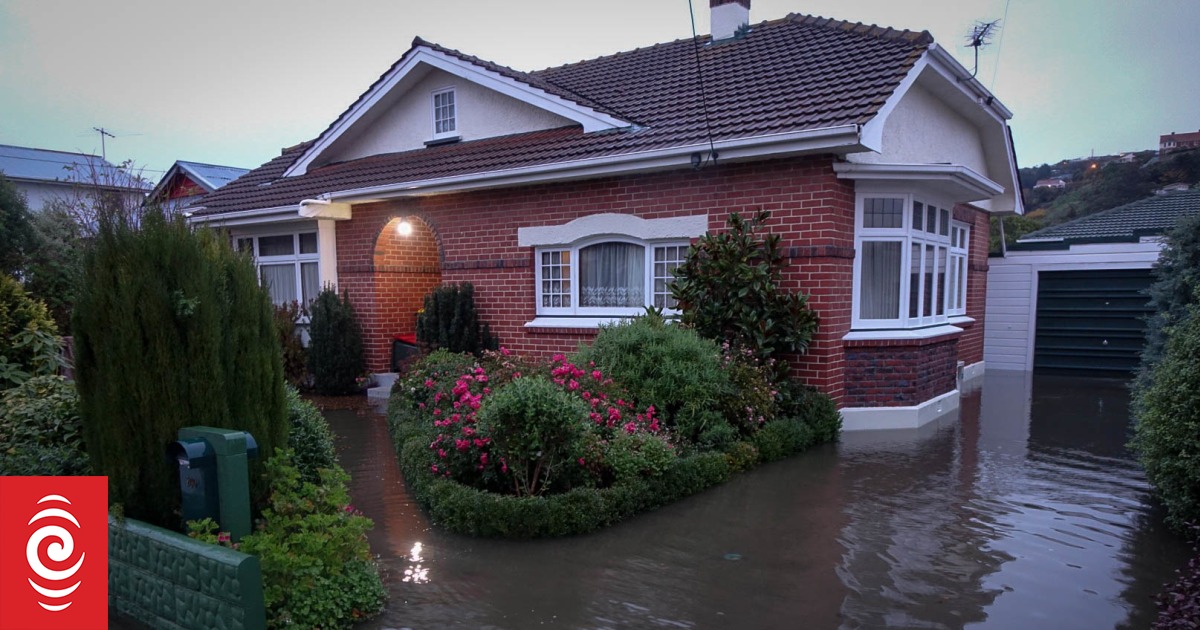 South Dunedin residents face flooding future | RNZ News