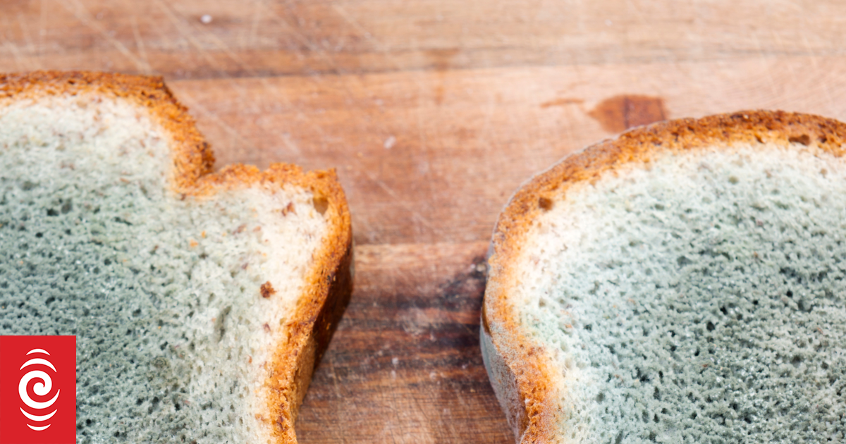 mould on bread slice