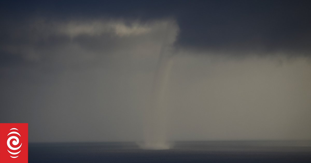 The Panel with Zoe George and Ed McKnight (Part 2) | RNZ