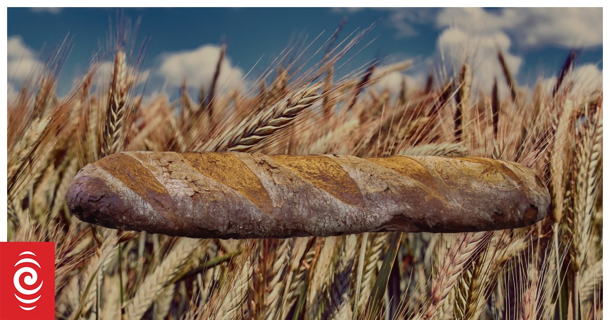 Freaky Friday: the demon loaf | RNZ