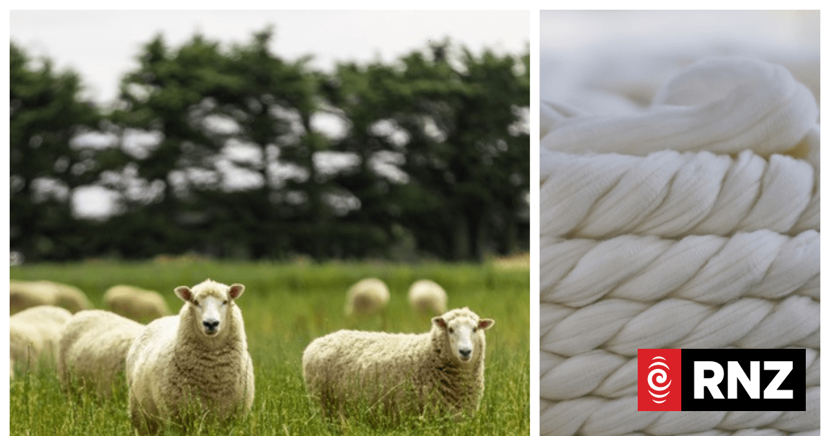 Saving the once mighty wool industry | RNZ