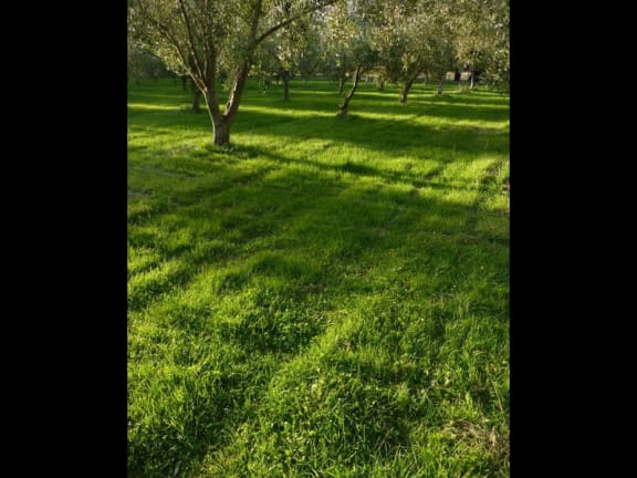 Moon Over Martinborough | A Gallery from Country Life | RNZ National