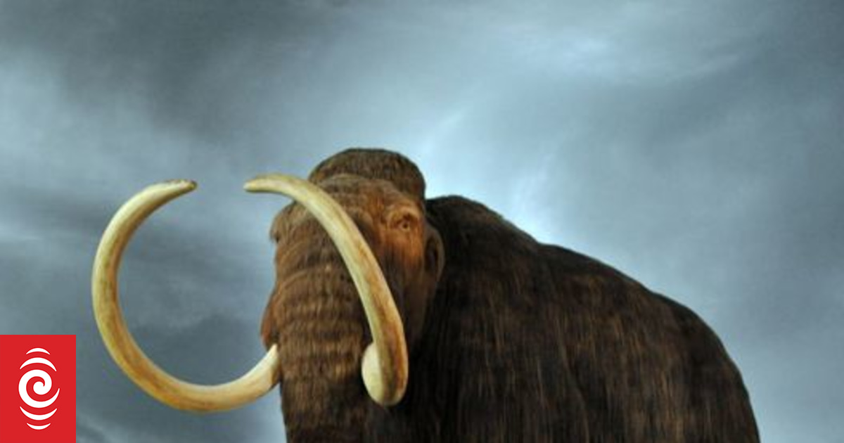 The ethics of de-extinction | RNZ