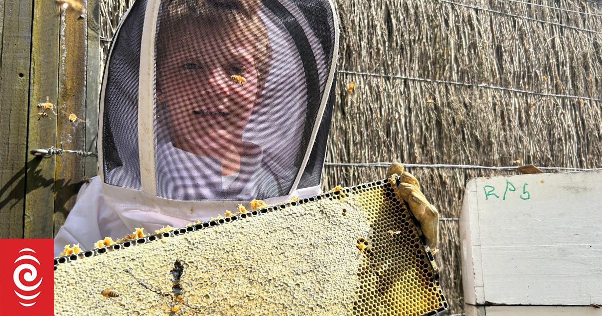 Meet Auckland's 11-year-old beekeeper keeping the community sweet | RNZ ...