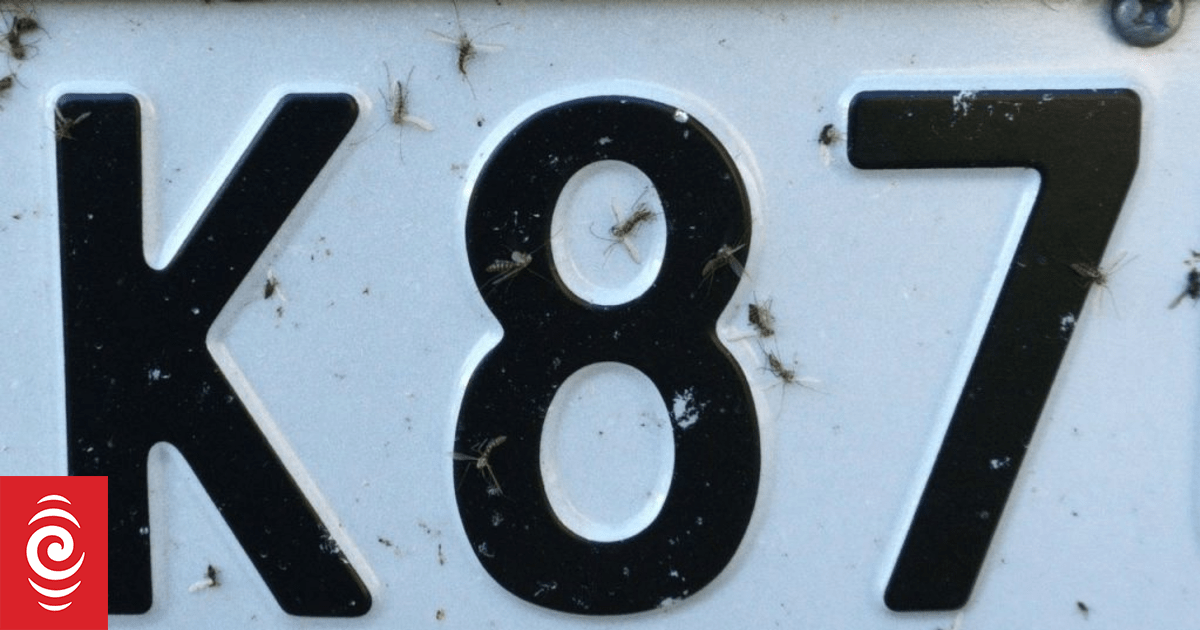 How your dirty license plate could help climate science | RNZ