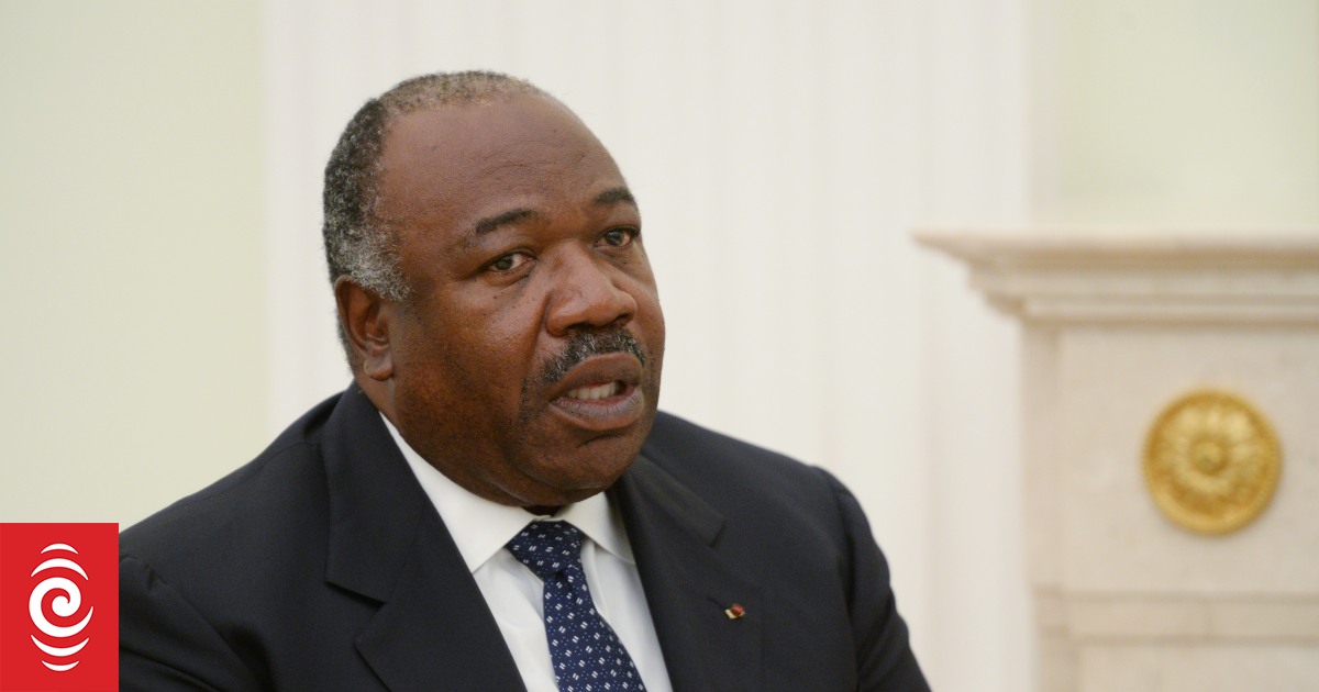 Gabon coup: Government says situation 'under control' | RNZ News
