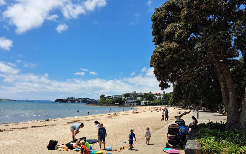 Aucklanders flock to parks and beaches as summer heats up | RNZ