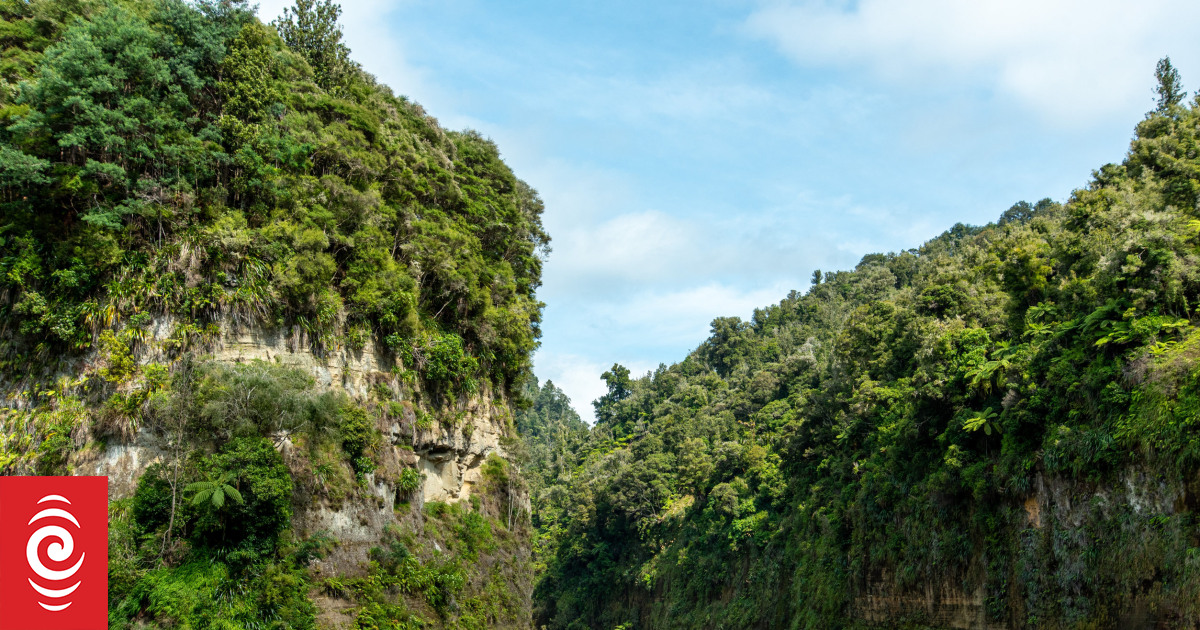 Whanganui River: 10 years of legal personhood | RNZ