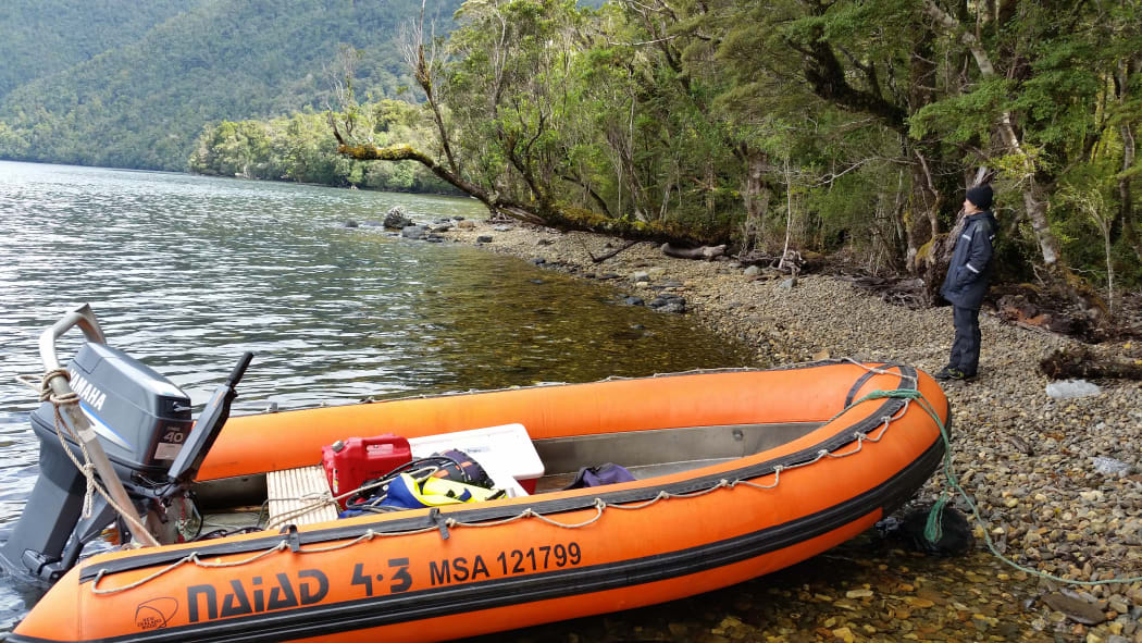 Explorer's pipe found in Fiordland | RNZ News