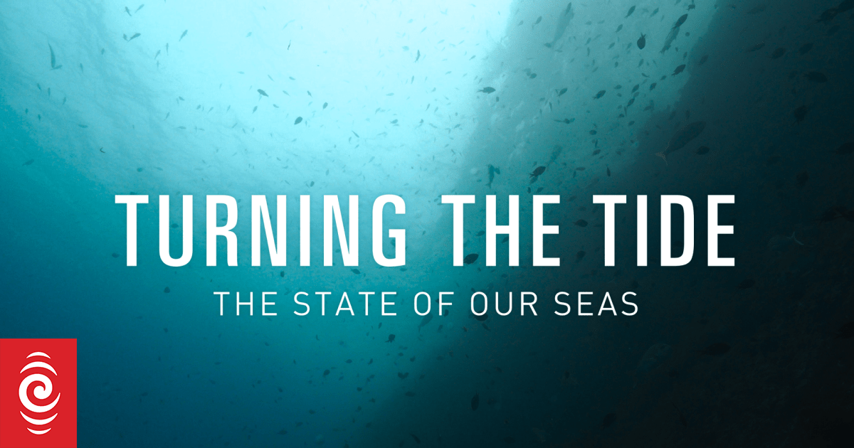 Turning the Tide | Episode 1: The State of Our Seas | RNZ