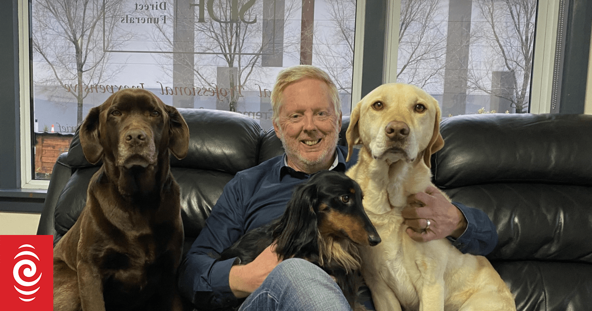 Owner 'shocked' after being hit with $1400 fee to have three dogs | RNZ ...