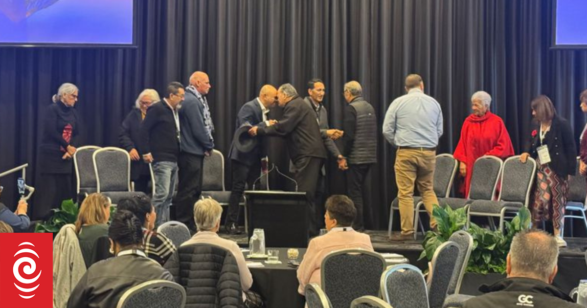Iwi Māori Partnership Boards concerned their role minimised under Pae ...