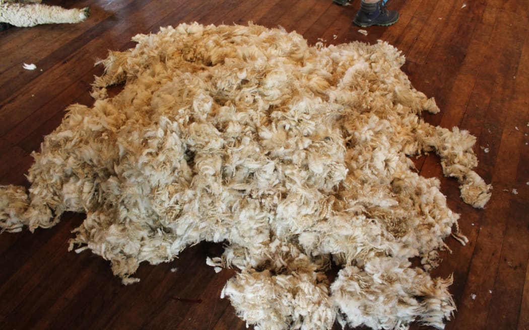 Taking dag wool and turning it into a business! | RNZ