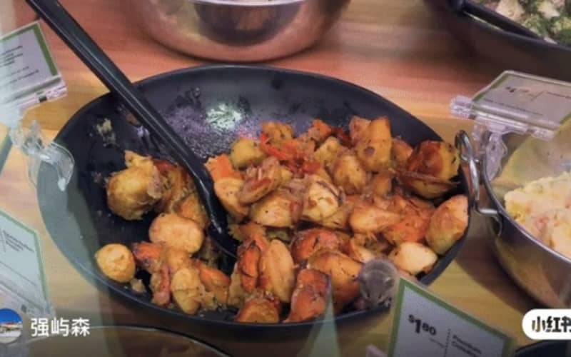 Eastgate Countdown didn't shut deli section after mouse reported | RNZ