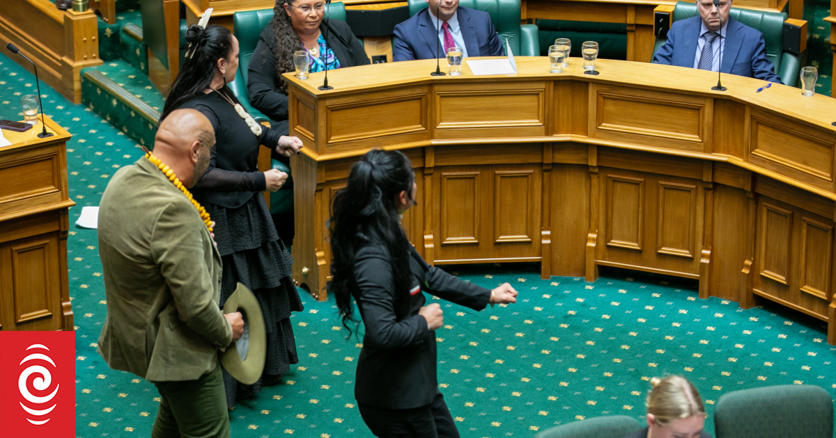 Privileges Committee hearing to go ahead without Te Pāti Māori MPs ...