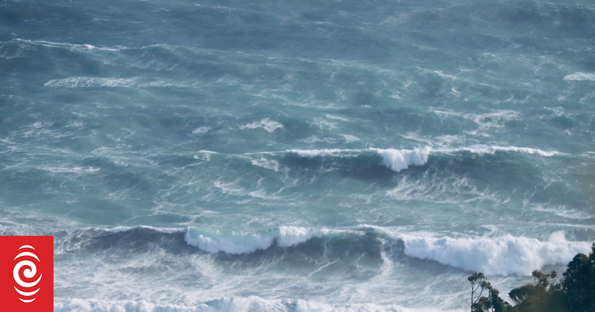 Ocean acidity rising in New Zealand coastal waters | RNZ News