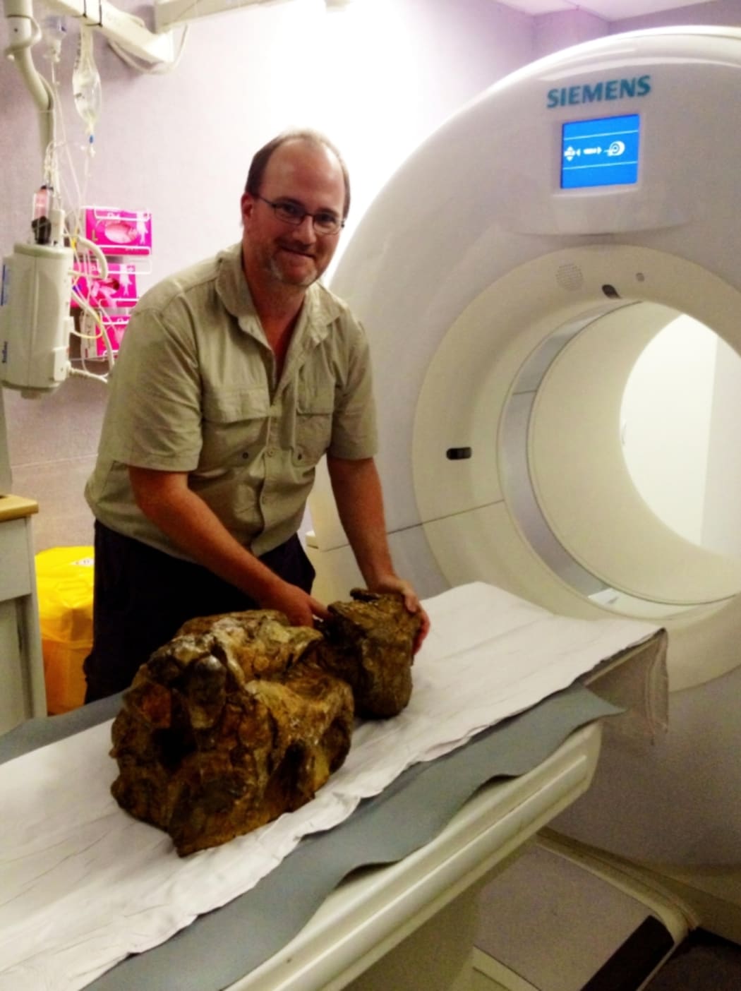Analysis of 1,300 new dinosaur bones overhauls understanding of Qld ...