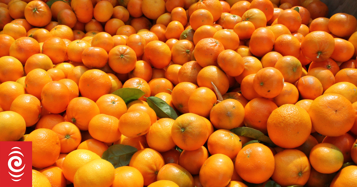 Fruit and Vege Report with Glenn Forsyth | RNZ