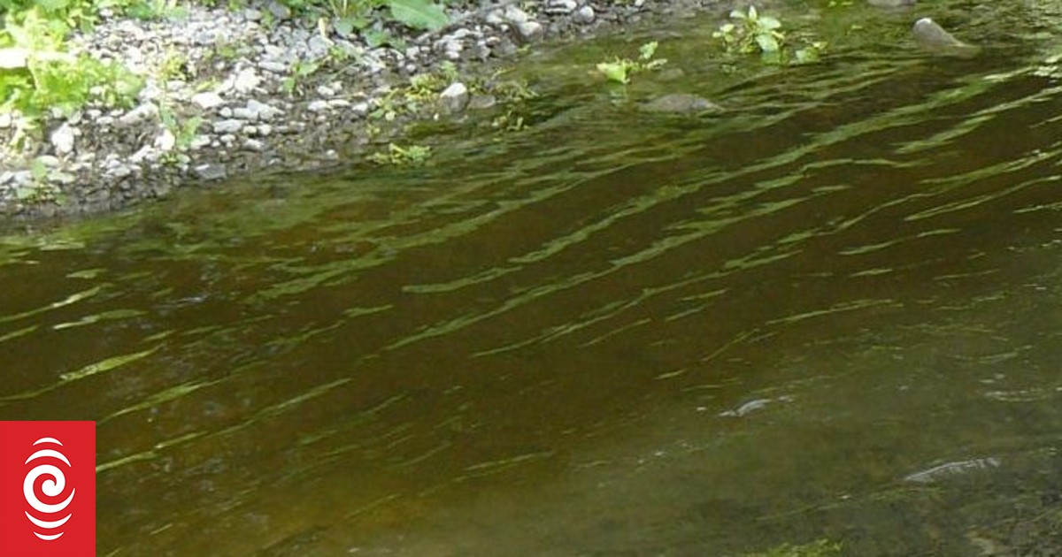 Council unsure source of river smell | RNZ News