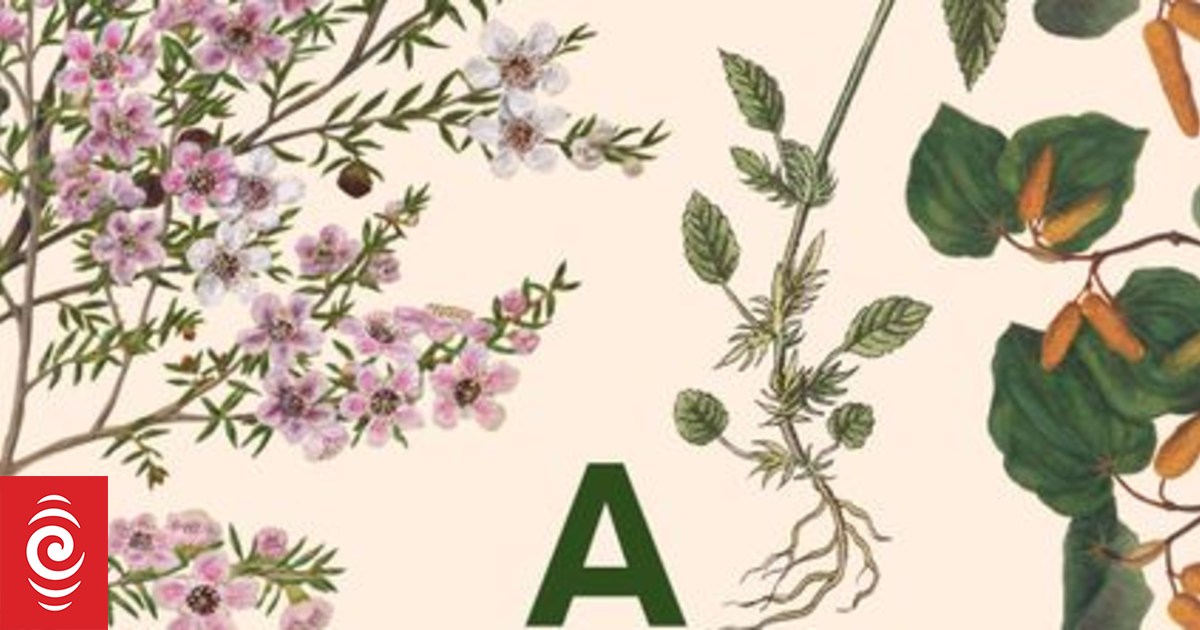 Book review: A Forager's Life by Helen Lehndorf | RNZ