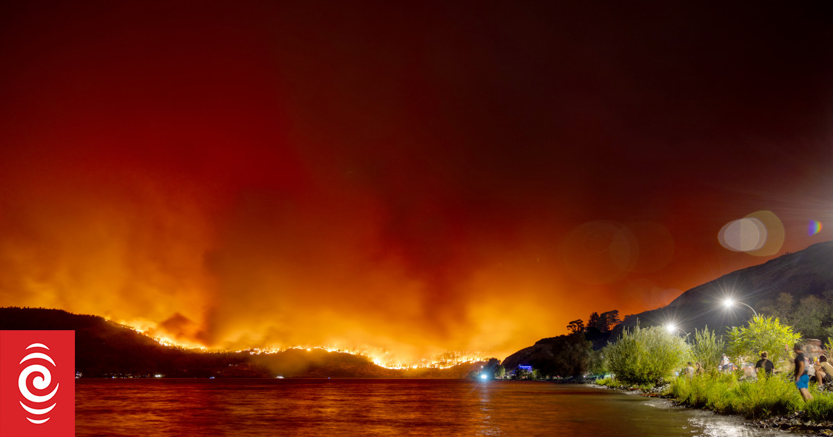 Fire-smart farming: How the crops we plant could help reduce the risk ...