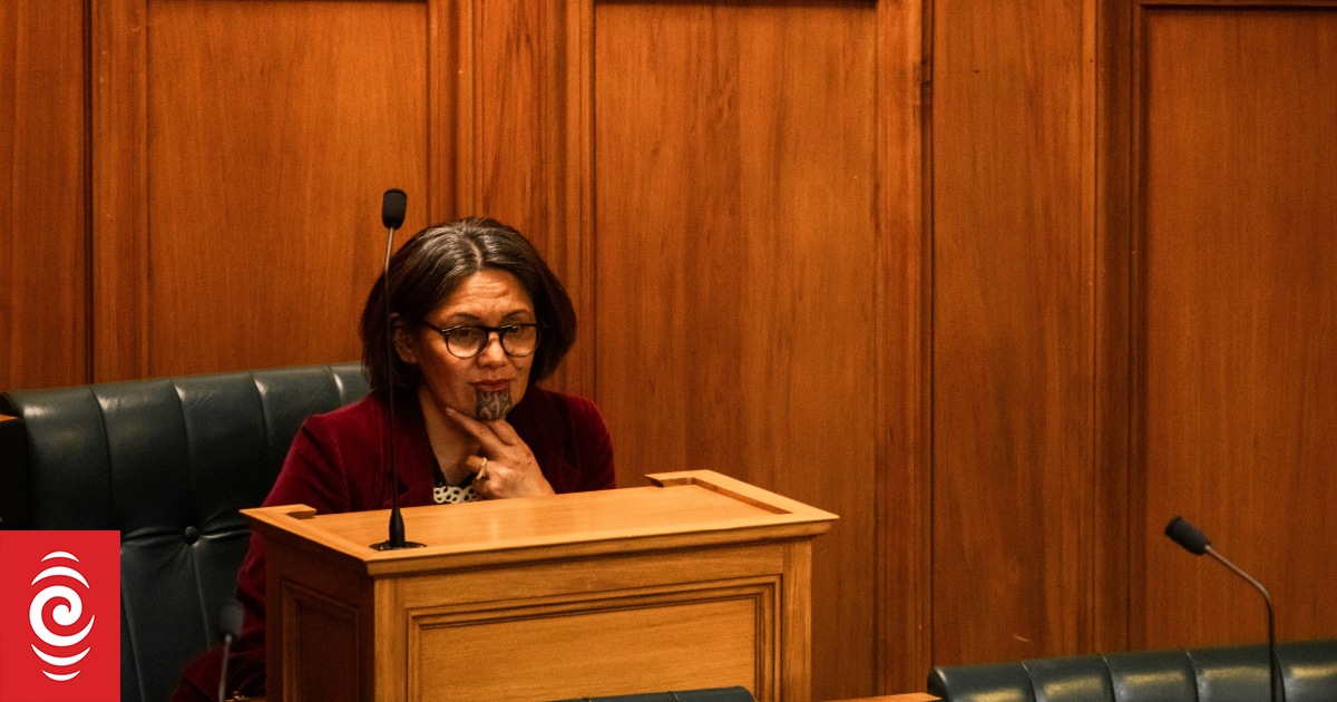 Political commentators Gareth Hughes & Ben Thomas | RNZ